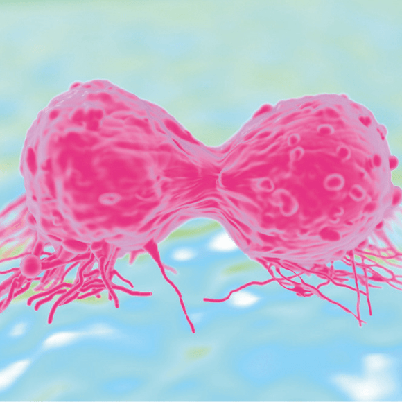 An interview with V. Craig Jordan: breast cancer, SERMs, tamoxifen ...