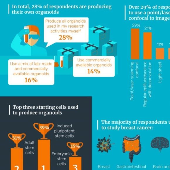 Organoids in oncology infographic - Oncology Central
