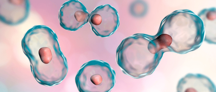Cancer Cells Wallpaper