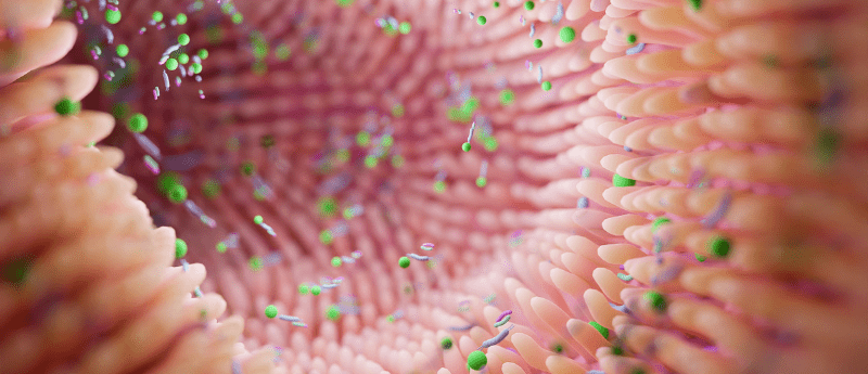 Are gut microbes the key to understanding how exercise boosts cancer ...